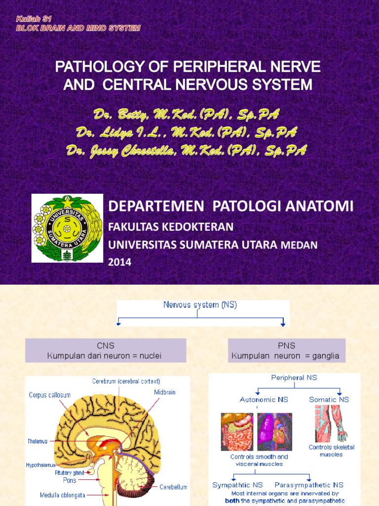 BMS1 - K11 - Pathology of Peripheral Nerve and Central Nervous System ...
