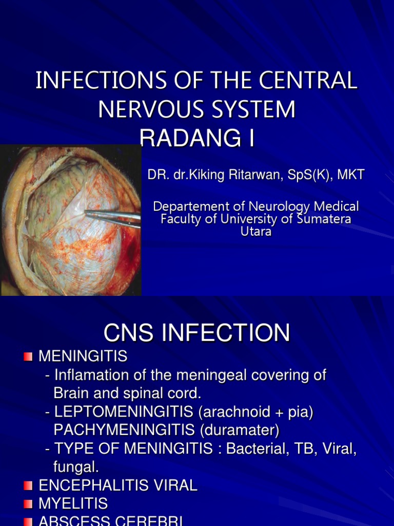 Central Nervous System Infections Guide | PDF | Meningitis ...