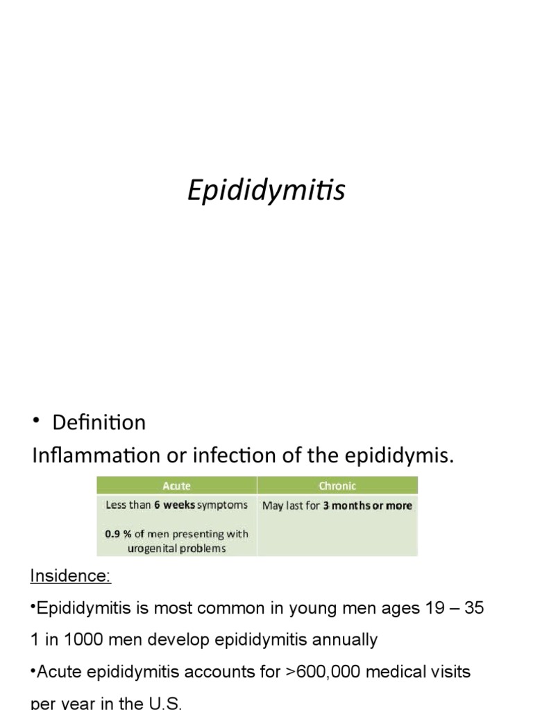 Epididymitis | PDF | Sexual Health | Urology