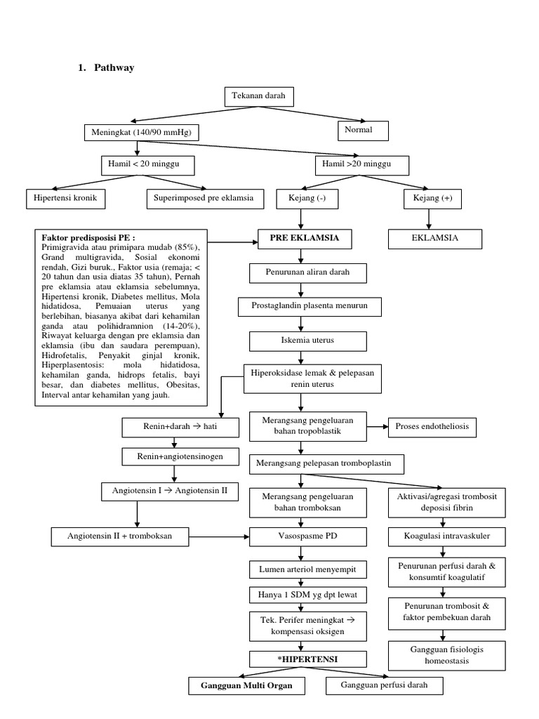 Pathway Pre Eklamsi | PDF