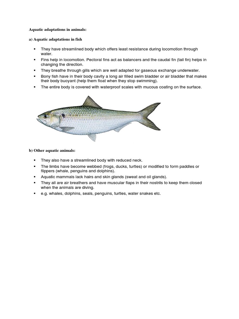 Aquatic Adaptations in Animals: A) Aquatic Adaptations in Fish | PDF ...