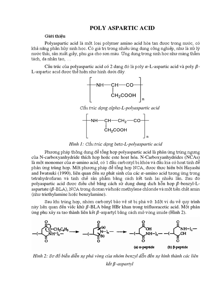 Polyaspartic Acid | PDF