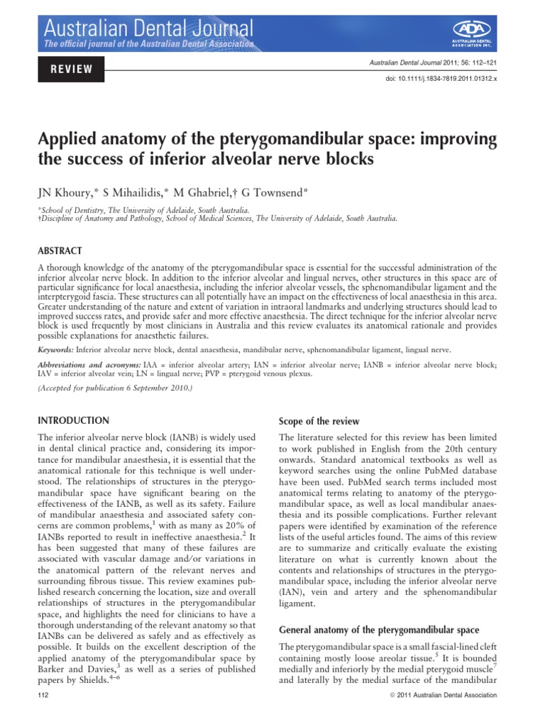 Anatomy of the Pterygomandibular Space | PDF | Anatomical Terms Of ...
