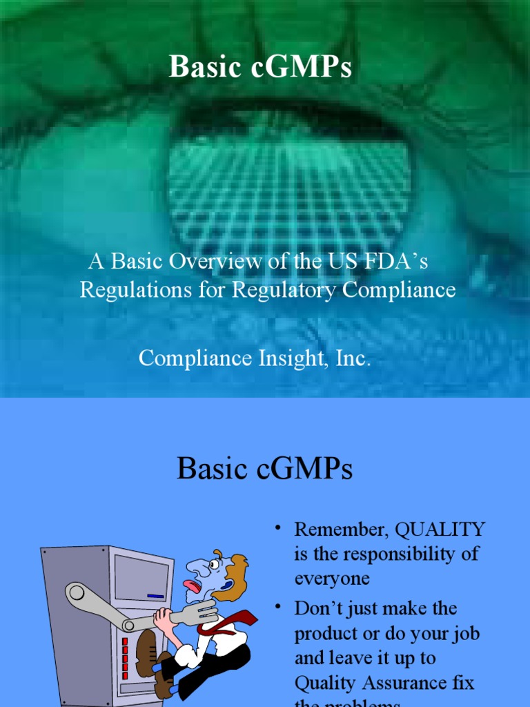 Basic CGMP Guidelines | PDF | Business
