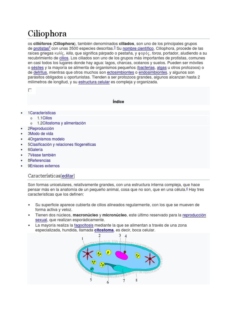 Cilio Phor A | PDF | Organismos | Biología Celular