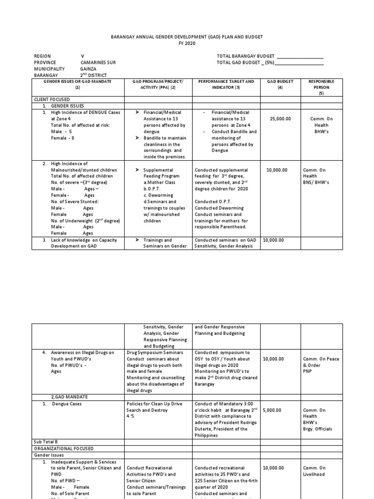 Barangay Annual Gender Development | PDF