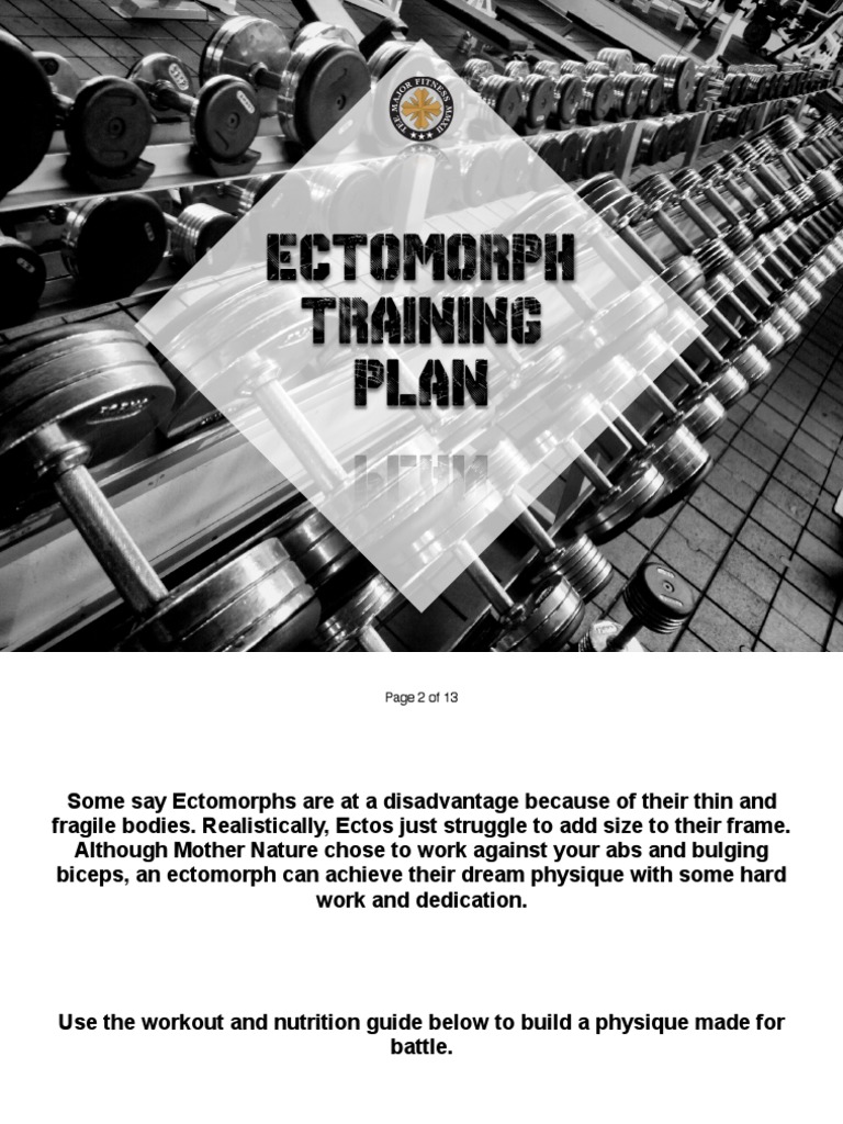 Ectomorph Training Plan | PDF | Strength Training | Aerobic Exercise