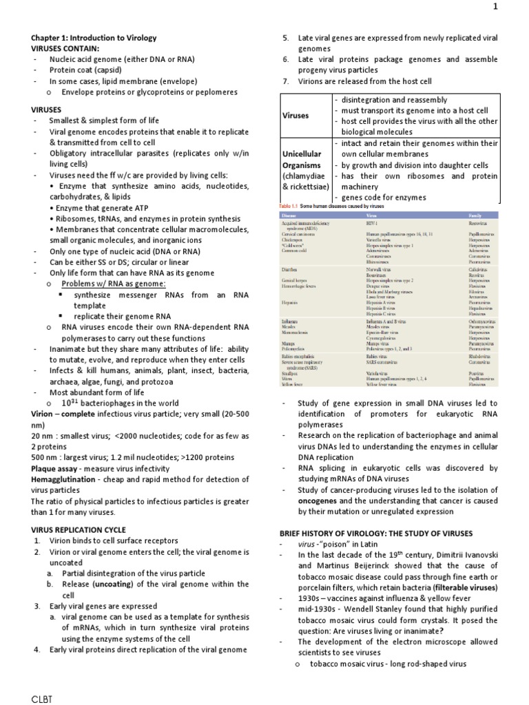 Virus - "Poison" in Latin | Download Free PDF | Sense (Molecular ...