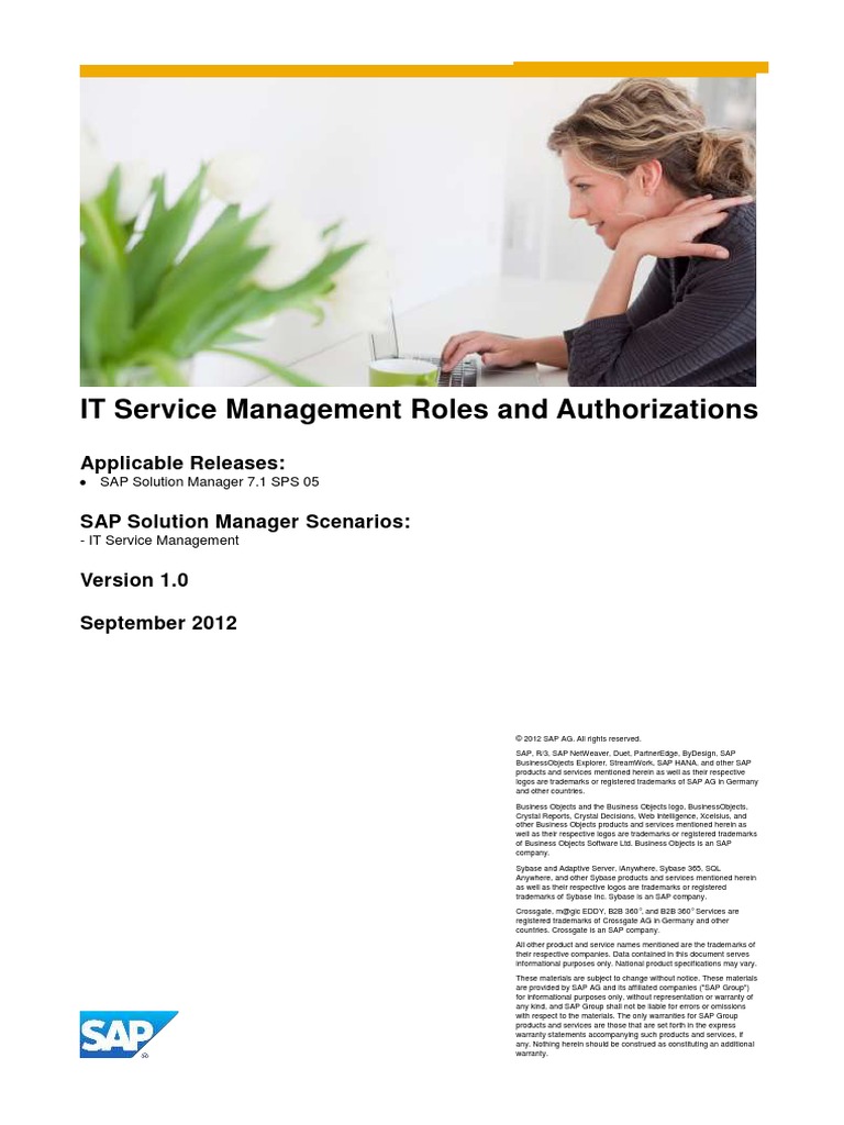 IT Service Management Roles and Authorizations PDF | Download Free PDF ...