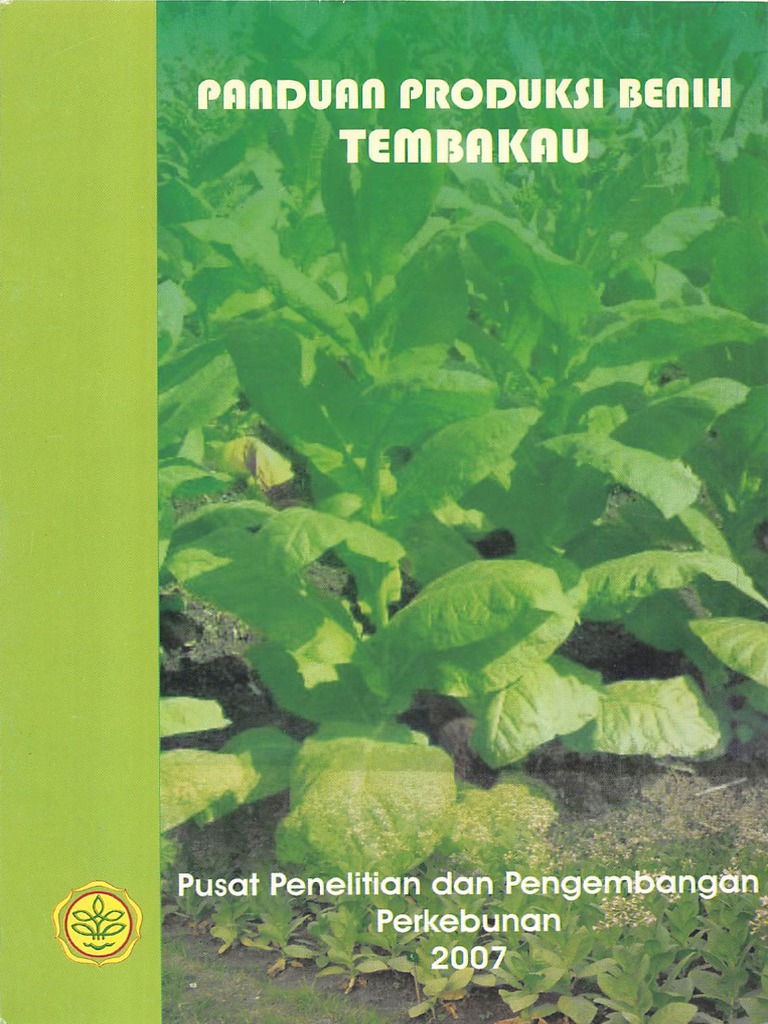 Panduan Produksi Benih Tembakau | PDF