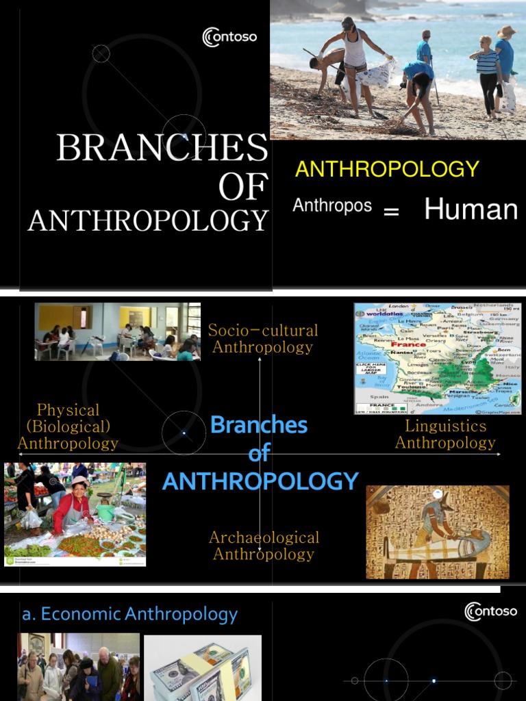 Branches of Anthropology | PDF | Anthropology | Anthropometry