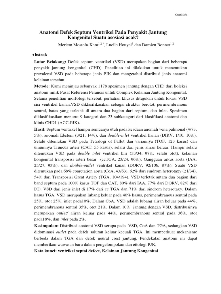 Anatomi Defek Septum Ventrikel Translate | PDF