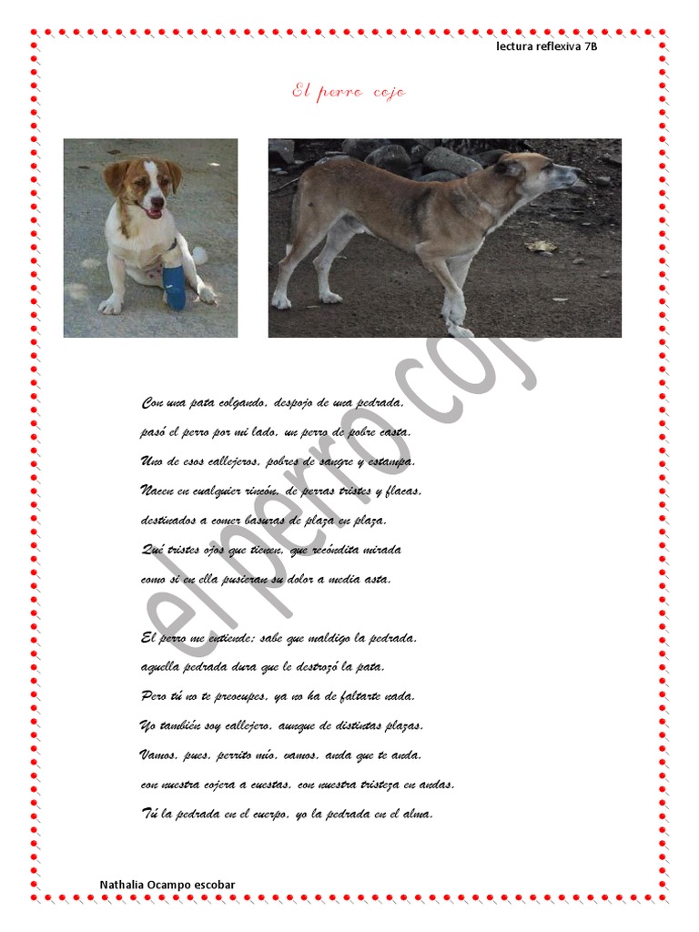 El perro cojo: poema reflexivo | PDF