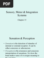 Chapter 15 - Neural Integration I: Sensory Pathways and Somatic Nervous ...