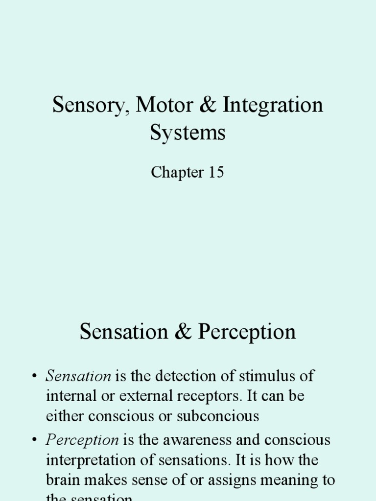 Sensory, Motor & Integration Systems | PDF | Motor Neuron ...