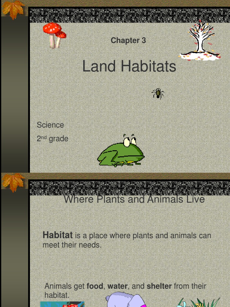 Land Habitats: Science 2 Grade | PDF