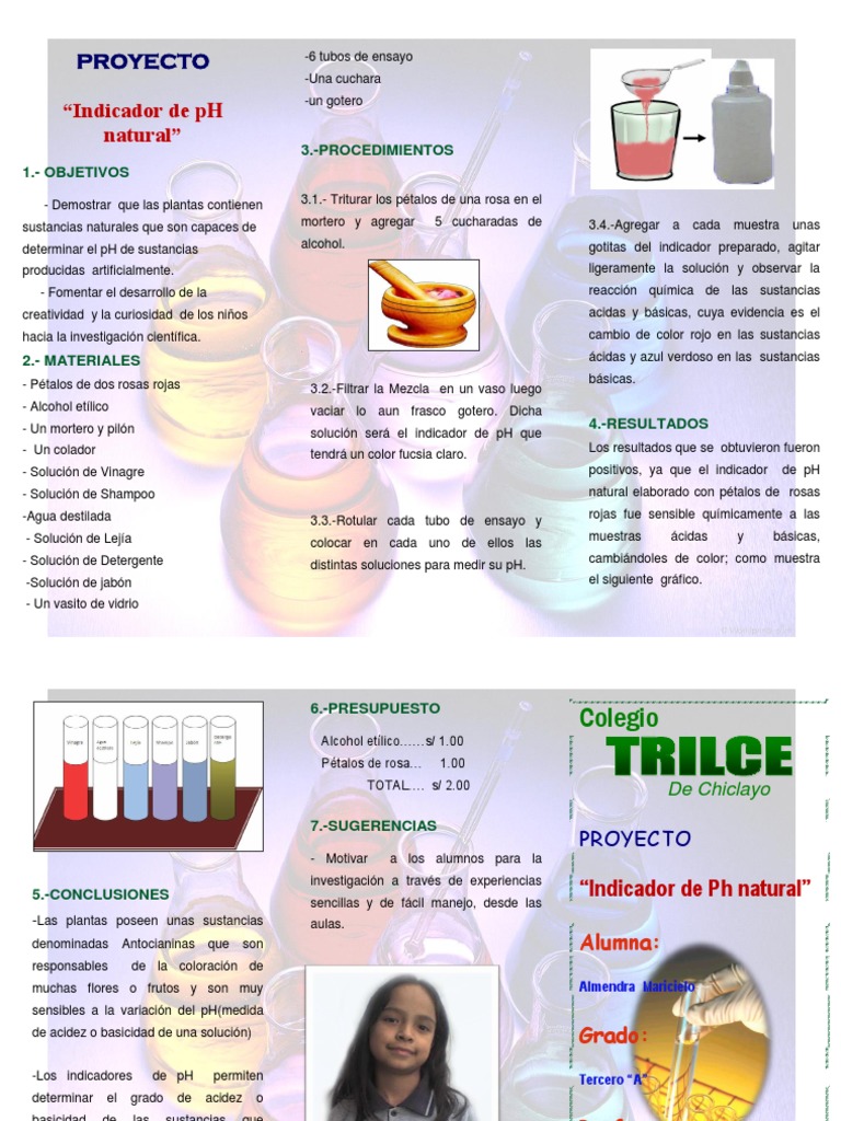 Triptico Experimento | PDF | Ph | Color
