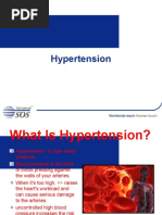 WHF Hypertension Nutrition Infographic FINAL | PDF | Hypertension | Salt