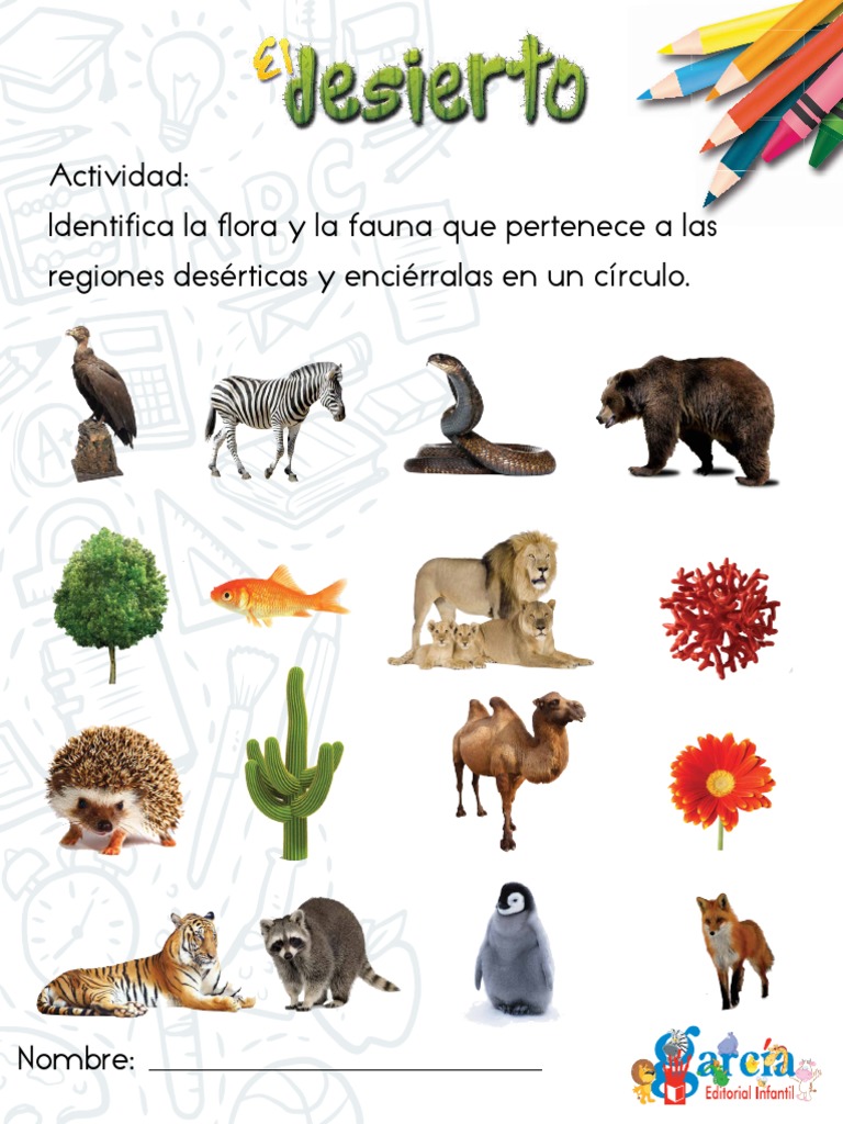 Actividades del Desierto para Niños | PDF | Hogar, jardinería y ...