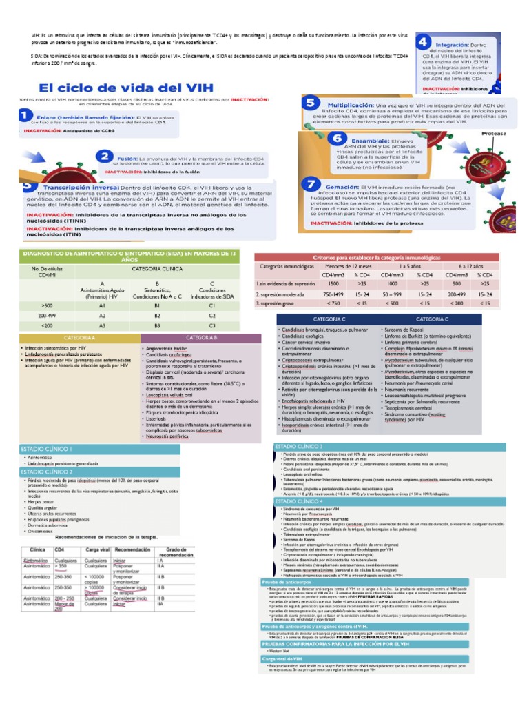 VIH y SIDA: Definición y Diferencias | PDF