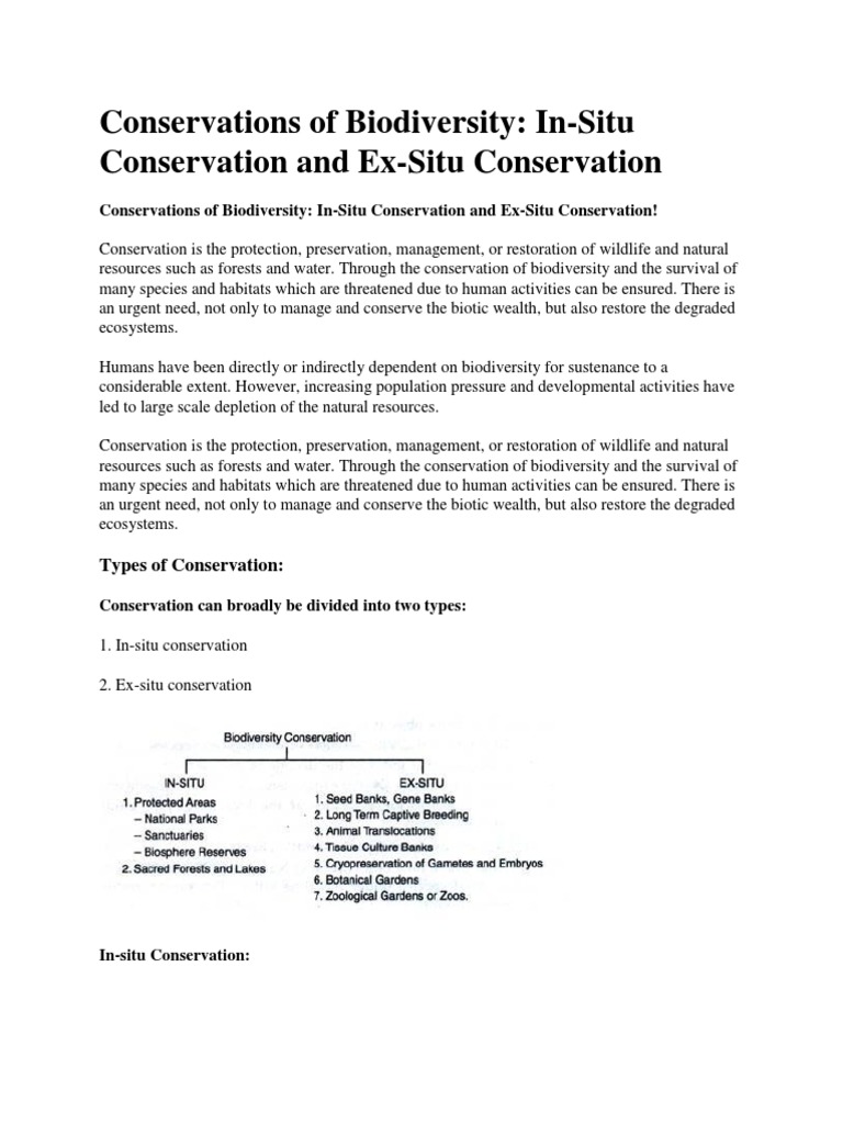 Biodiversity Conservation: In-Situ vs Ex-Situ | PDF | Conservation ...