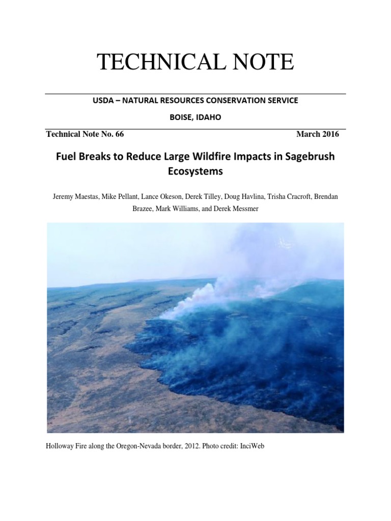 Veld Fire Control | PDF | Wildfire | Invasive Species