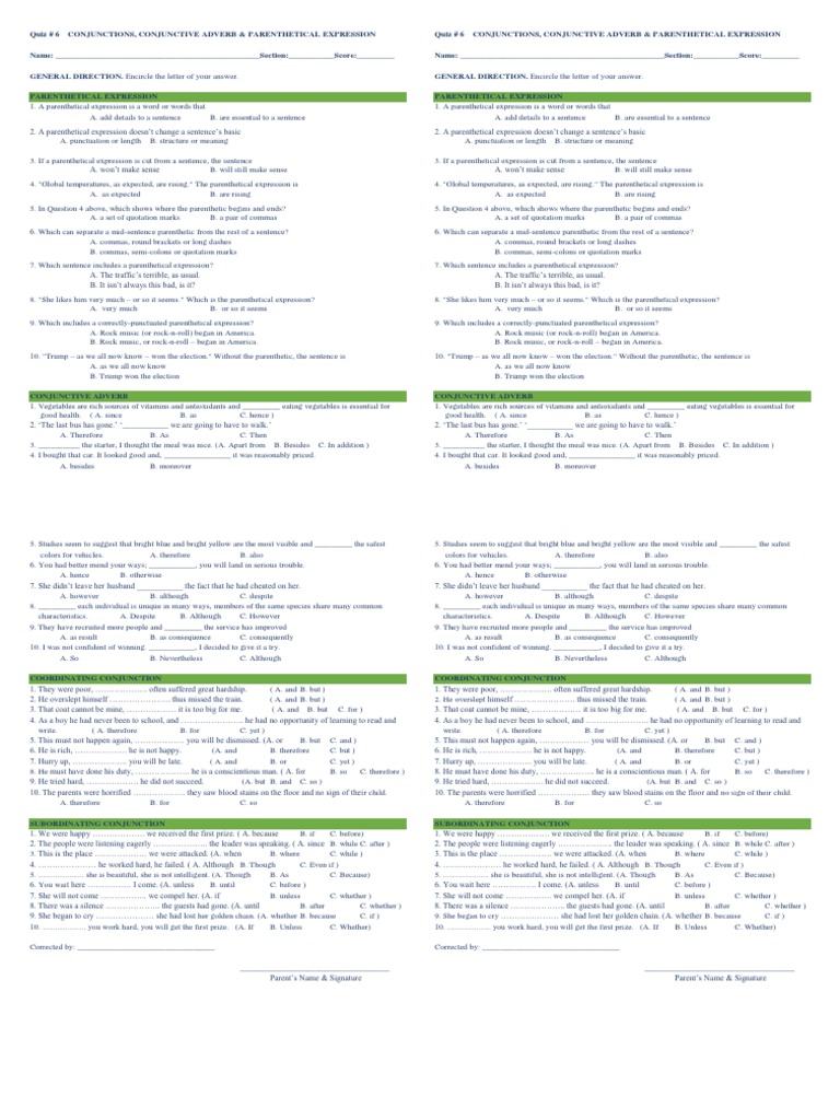 Parenthetical Expression Exercises | PDF | Comma | Punctuation