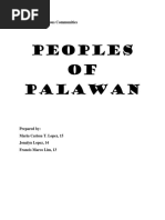 Palaw'A N Tribe: Palawan Studies | PDF | Wellness | Medical