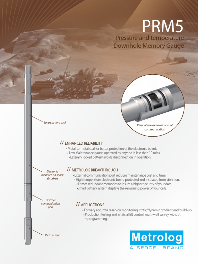 Metrolog PRM5 PDF | PDF | Manufactured Goods | Electrical Engineering