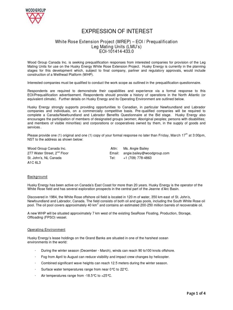 Expression of Interest | PDF | Petroleum | Energy And Resource