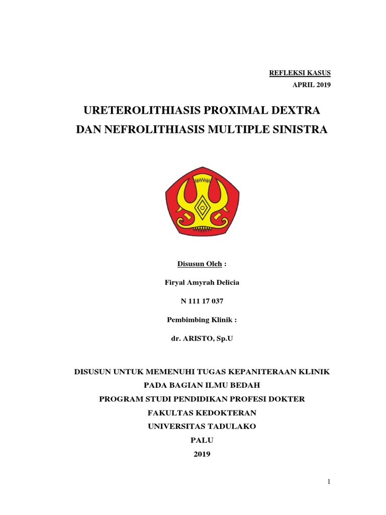 Refleksi Kasus Ureterolithiasis Proximal Dextra + Nefrolithiasis Multiple Sinistra | PDF