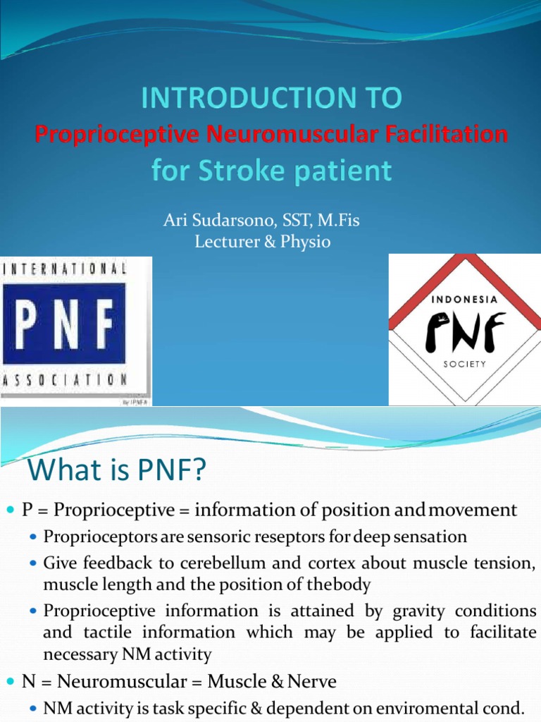 Introduction To PNF For Stroke | PDF | Anatomical Terms Of Motion ...