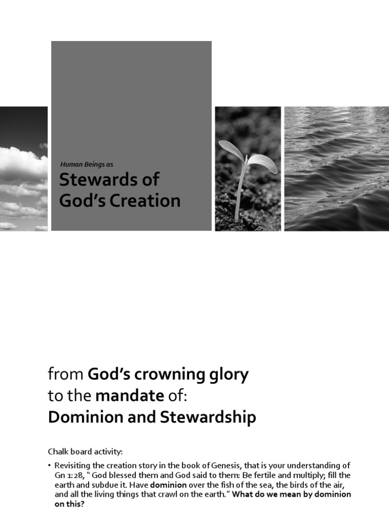 Human Beings As Stewards of God's Creation | PDF | Free Will | Catholic ...