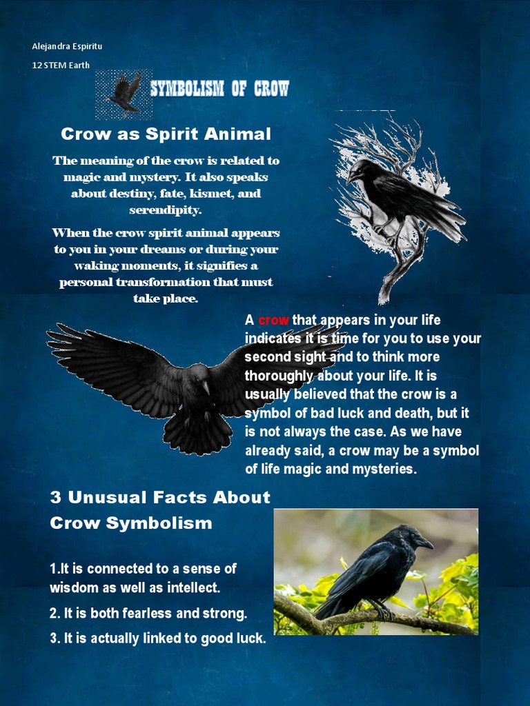 Infographic Crow Pdf