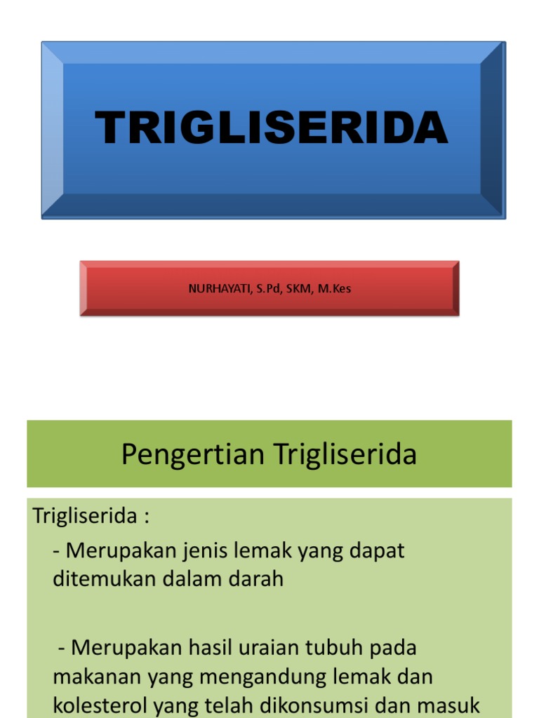 Panduan Trigliserida dan Kesehatan | PDF