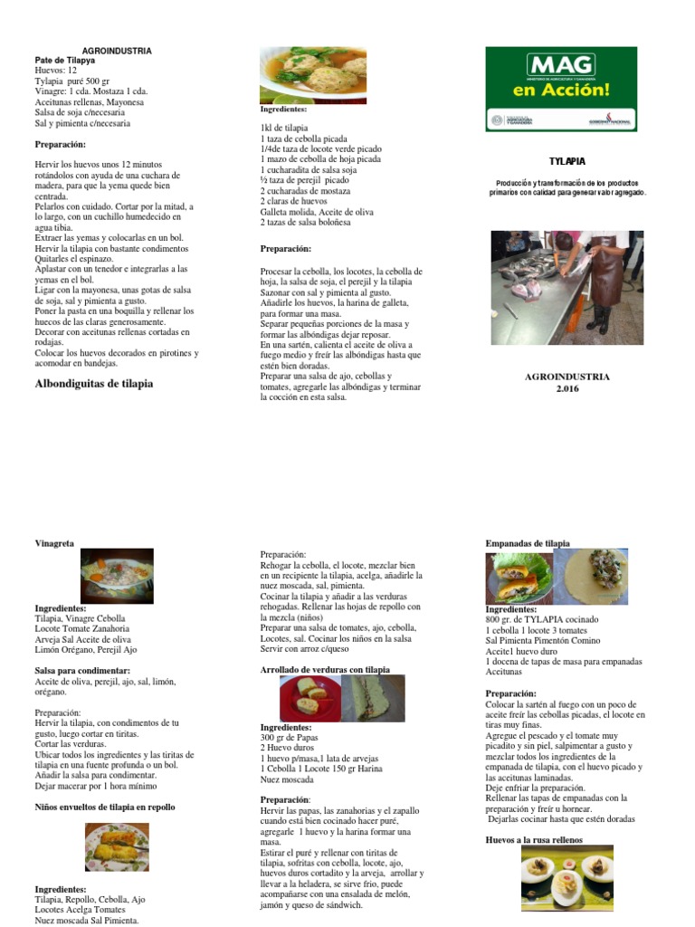 Triptico de Tylapia | PDF | Salsa | Cocina occidental