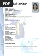 CURRICULUM VITAE BASICO Paola | PDF