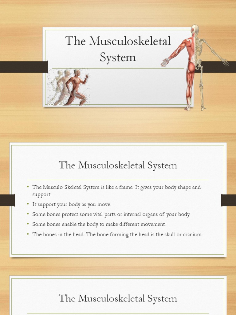 Musculoskeletal System Basics | PDF | Human Musculoskeletal System ...