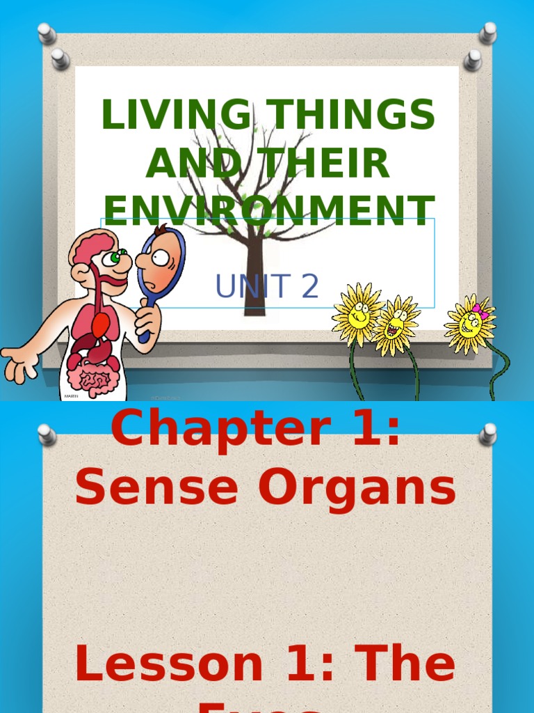 Living Things and Their Environment | PDF | Eye | Ophthalmology