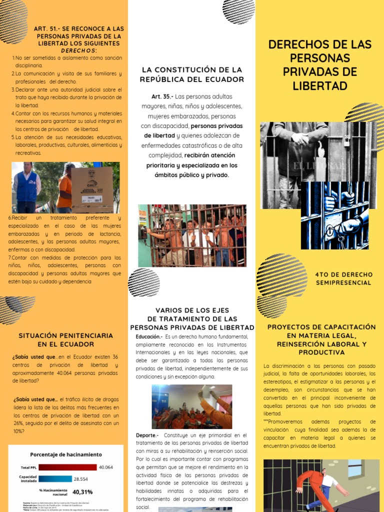 Derechos de Las Personas Privadas de Libertad PDF | Invalidez | Instituciones sociales