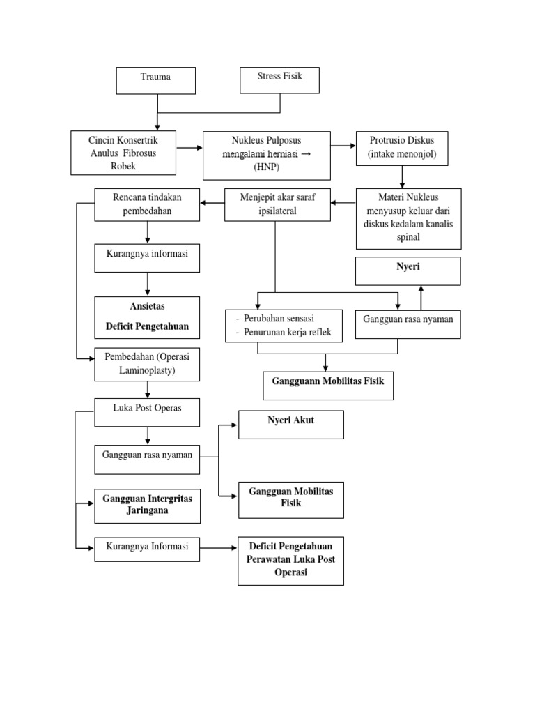 Pathways HNP Lamoniplasty | PDF