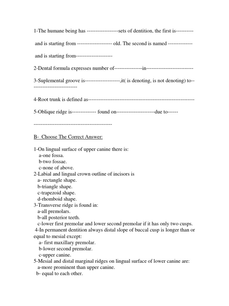 Dental Anatomy Quiz and Questions | PDF | Tooth | Dentistry Branches