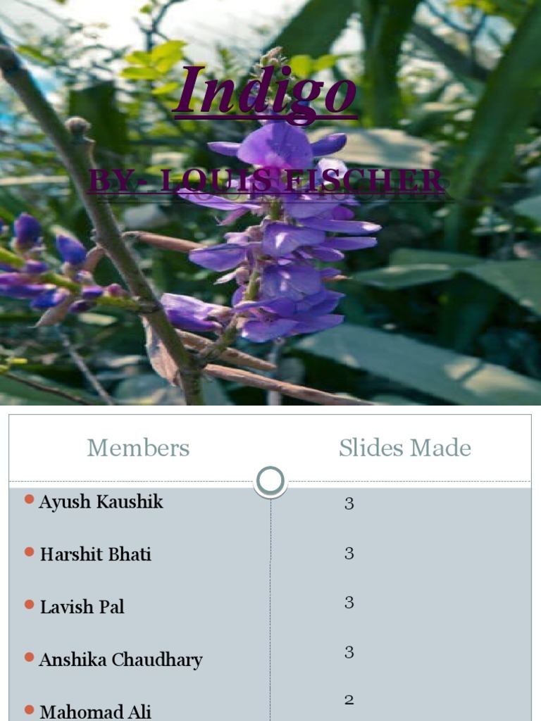 Indigo | PDF | Mahatma Gandhi