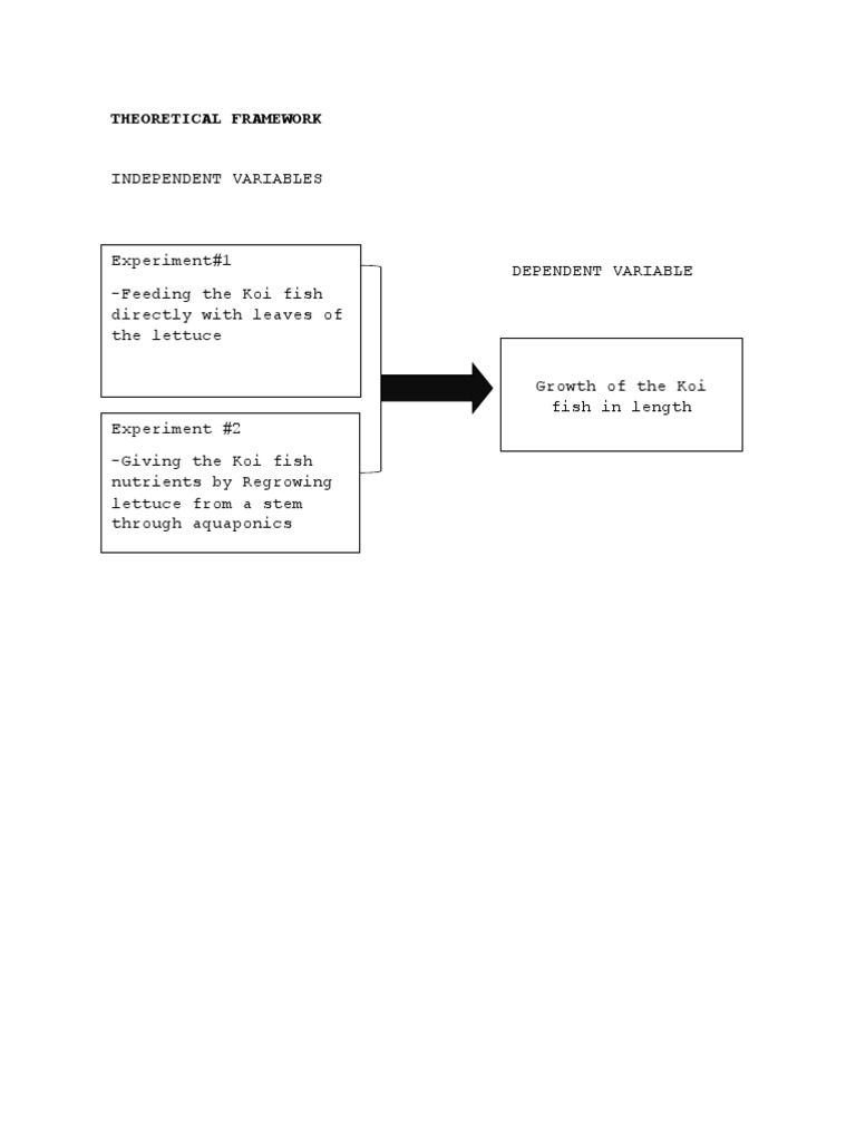Independent Variables: Theoretical Framework | PDF