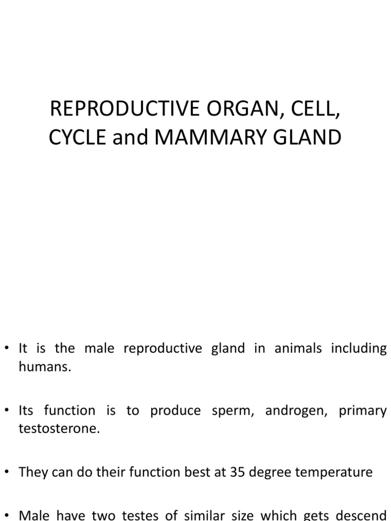 Reproductive Cell, Organ, Cycle | PDF | Menstrual Cycle | Ovary