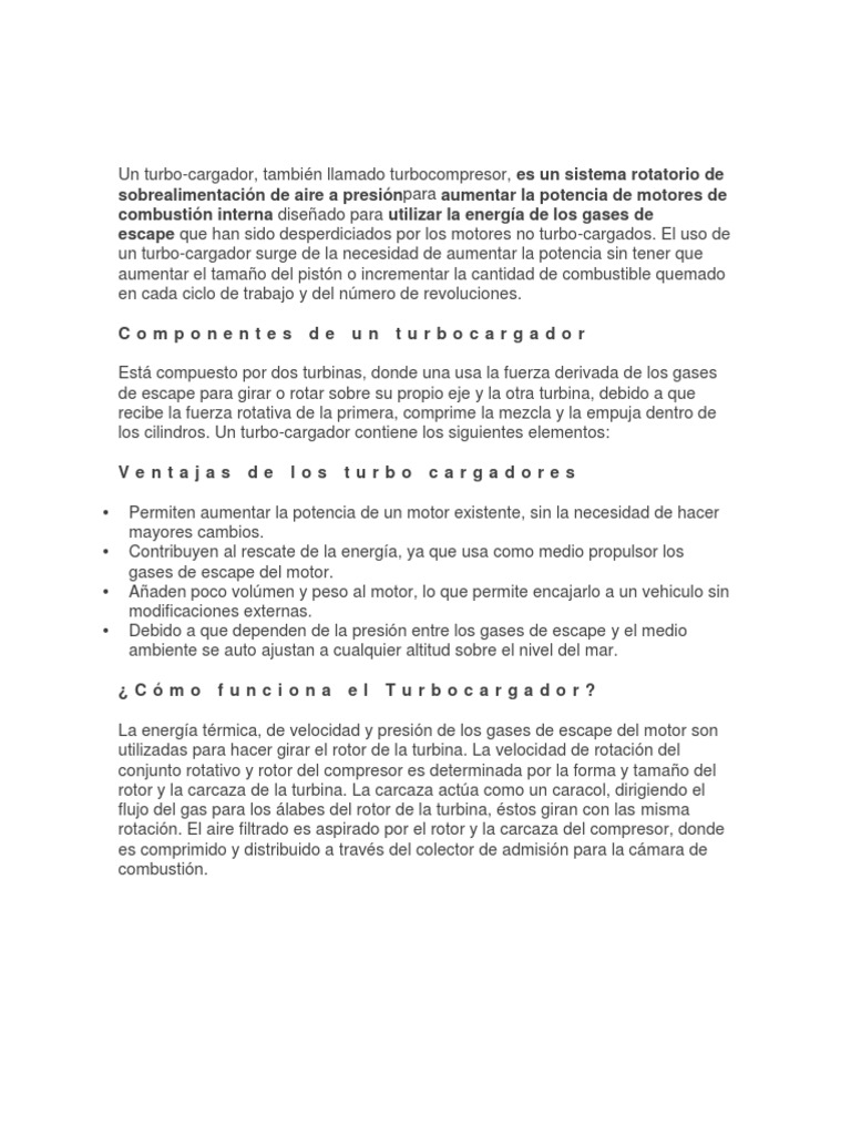 Microsoft Word Turbo | PDF