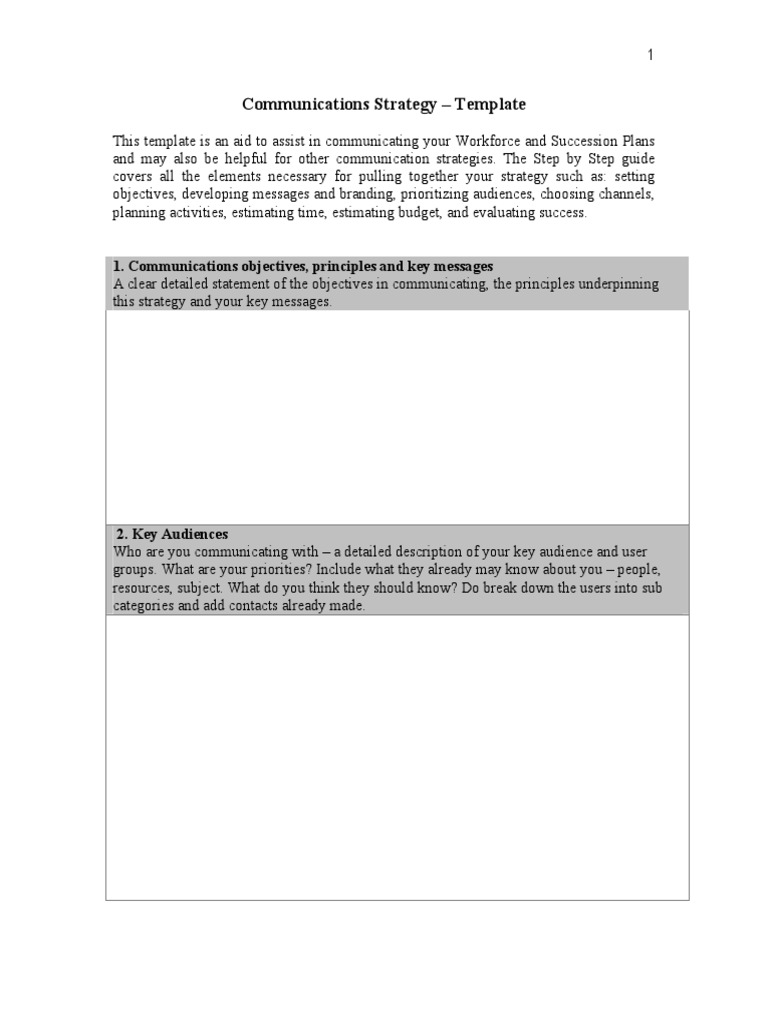 Communications Strategy Sample Template | PDF | Target Audience ...