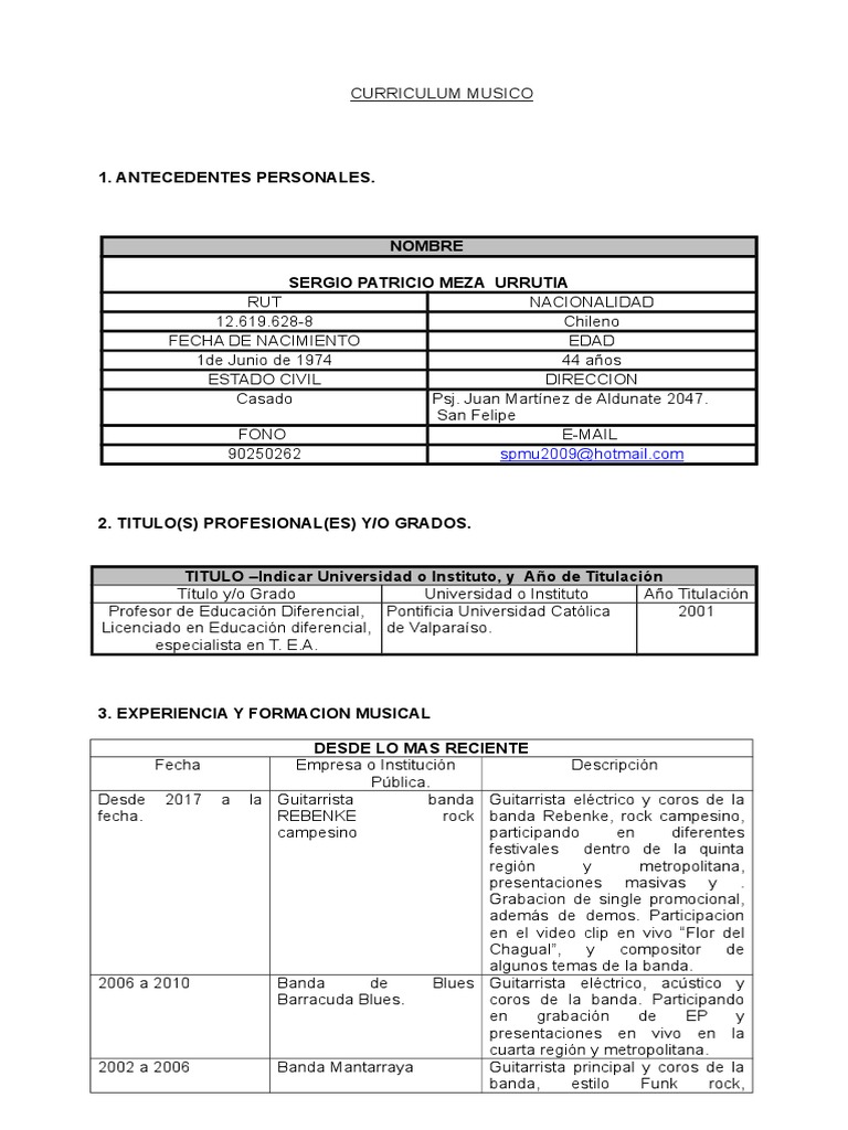 CURRICULUM Musical | PDF | La música rock | Grupos de música rock