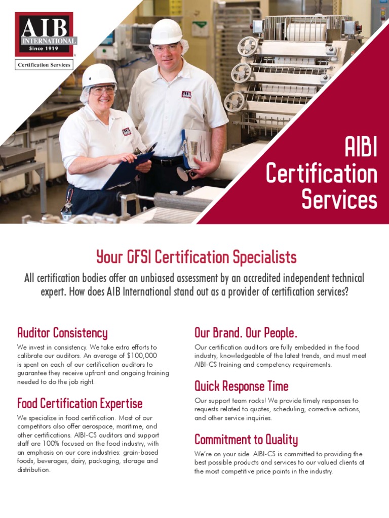 Aibi CS | PDF | Certification | Audit