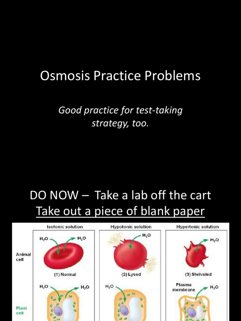 Osmosis Tonicity Practice Questions.pptx | Osmosis | Cell Biology